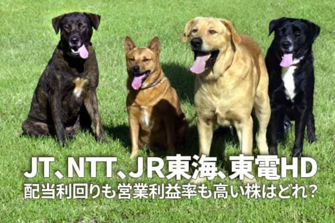 JT、NTT、JR東海、東電HDで、配当利回りも営業利益率も高い株はどれ？ | トウシル 楽天証券の投資情報メディア