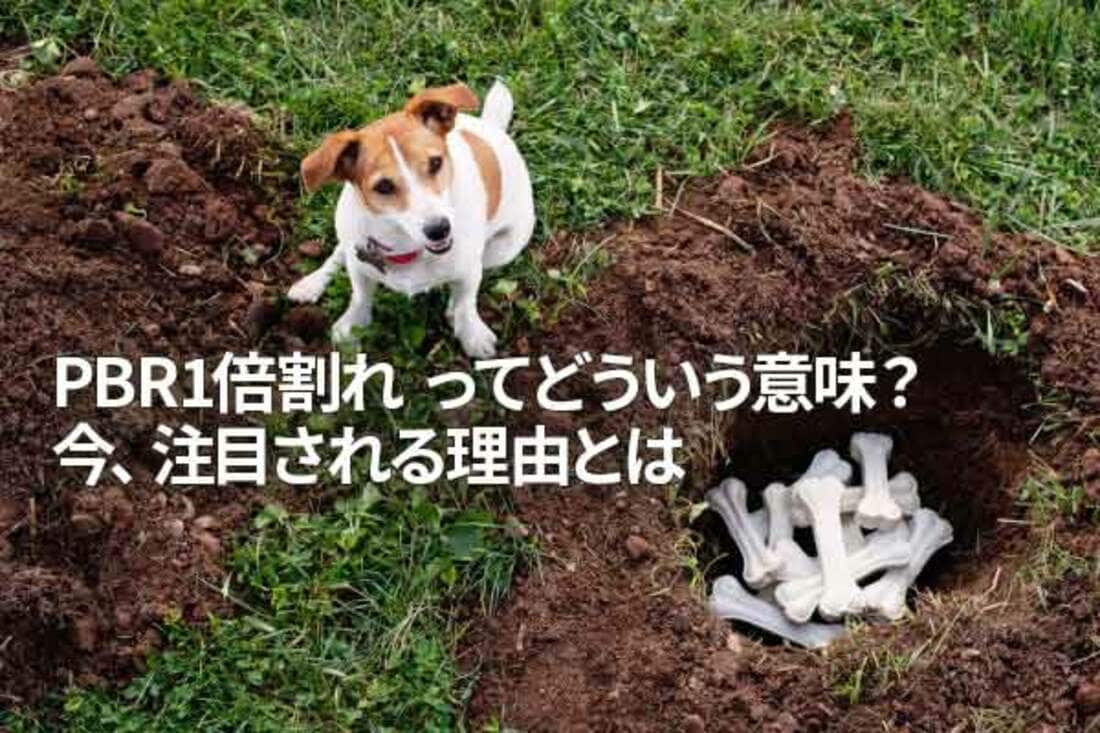 PBR1倍割れってどういう意味？今、注目される理由とは | トウシル 楽天証券の投資情報メディア