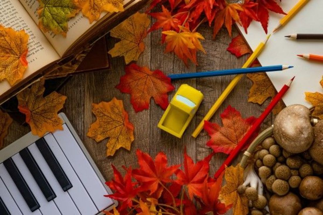 先週のトウシル記事3選：米FRB0.5％大幅利下げ、労働市場の悪化懸念、どうなる日本株？・初の女性大統領誕生！？米国株は11月からハネムーンラリーか・「この株を買っておけば間違いない！」は本当 ...