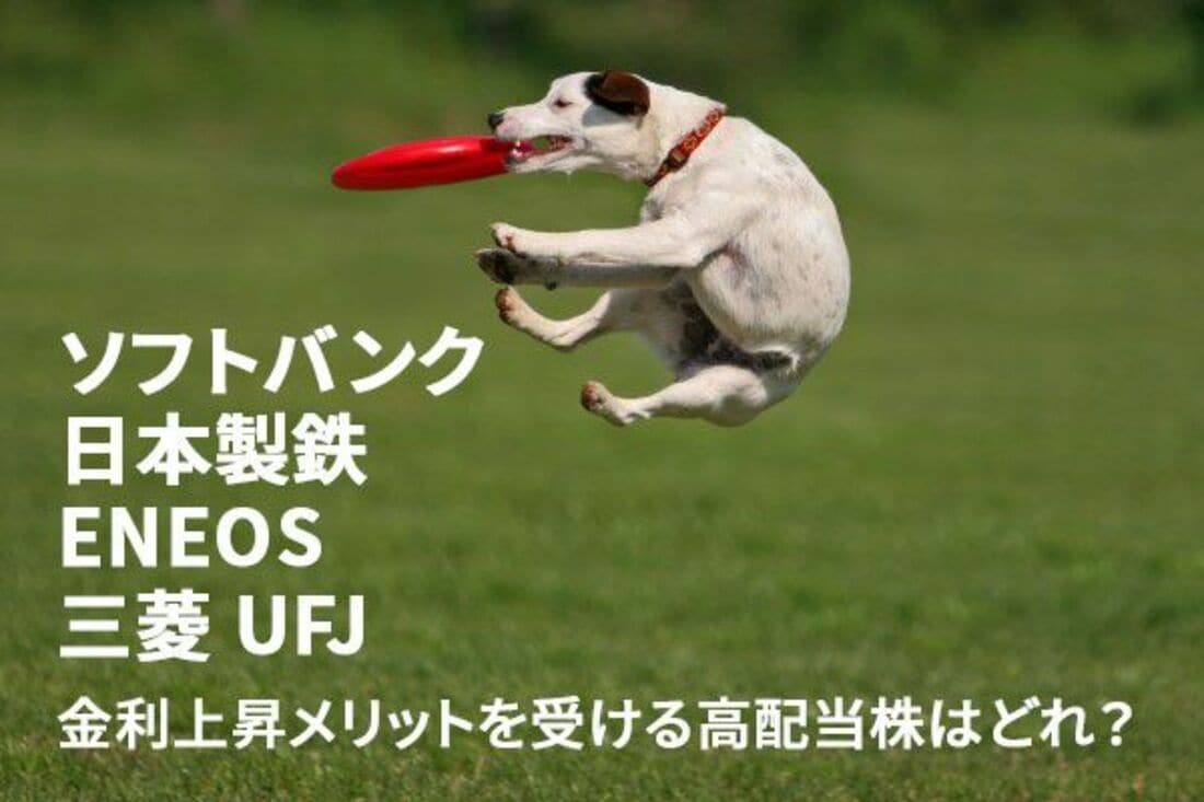 ソフトバンク、日本製鉄、ENEOS、三菱UFJ：金利上昇メリットを受ける高配当株はどれ？ | トウシル 楽天証券の投資情報メディア